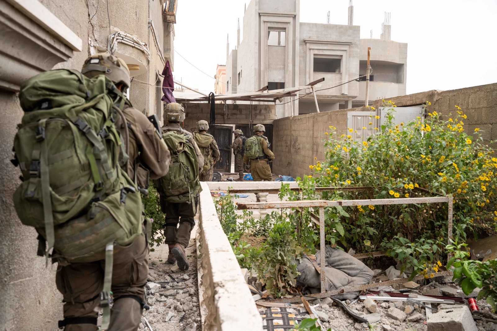 Északi front, riport és francia döntés - Új Kelet Live